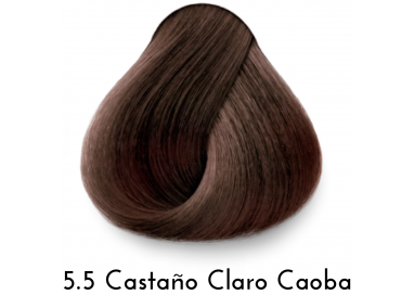 Kuul Tinte Tono 5.5 Castaño Claro Caoba Tubo 90g